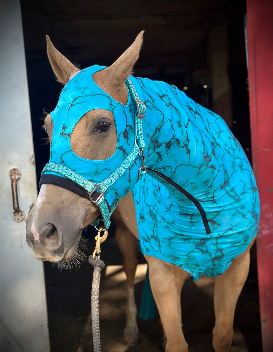 Turquoise Stone Lycra Hood – Hot Headstalls